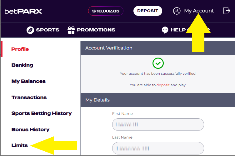 How do I set a Login Limit?